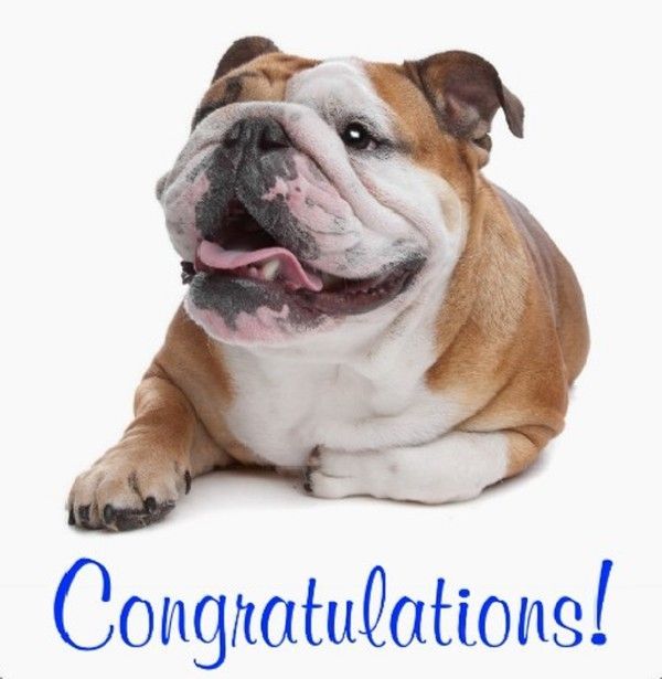 "Congratulations!" - Félicitations!